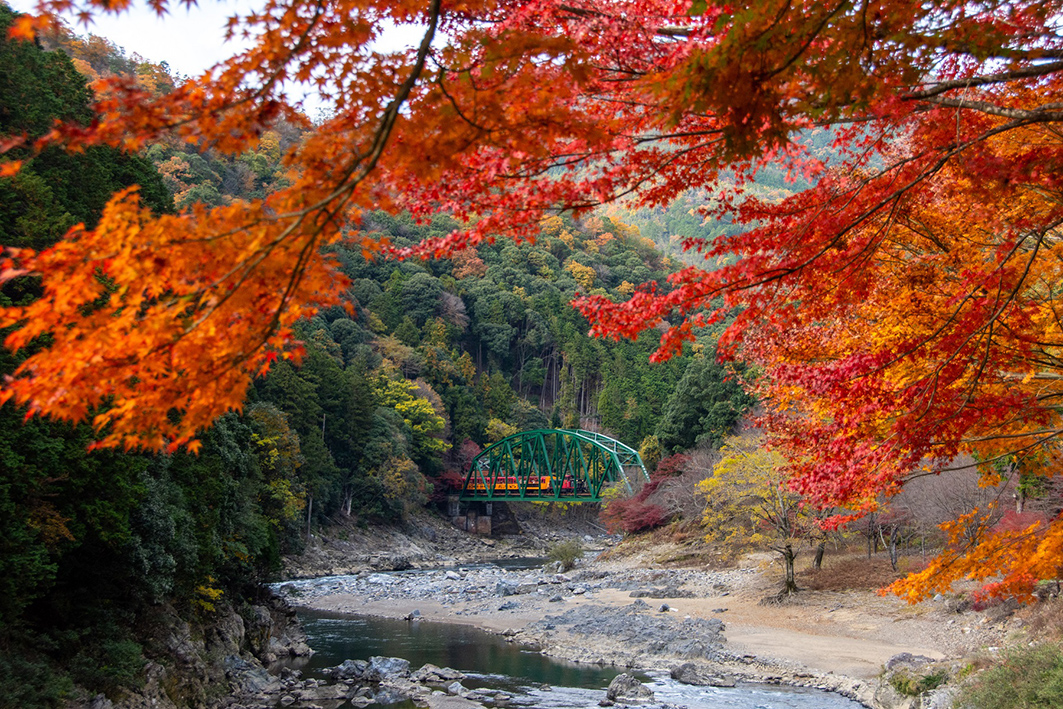 Sagano Romantic Train: Die magischste Bahnfahrt deines Japan-Abenteuers